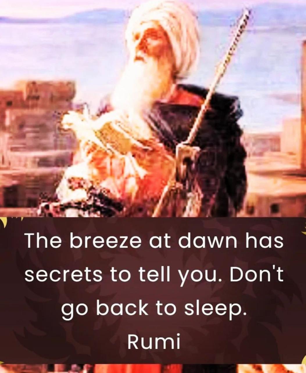 Rumi Quote Sleep Secrets Despardes Home Abroad