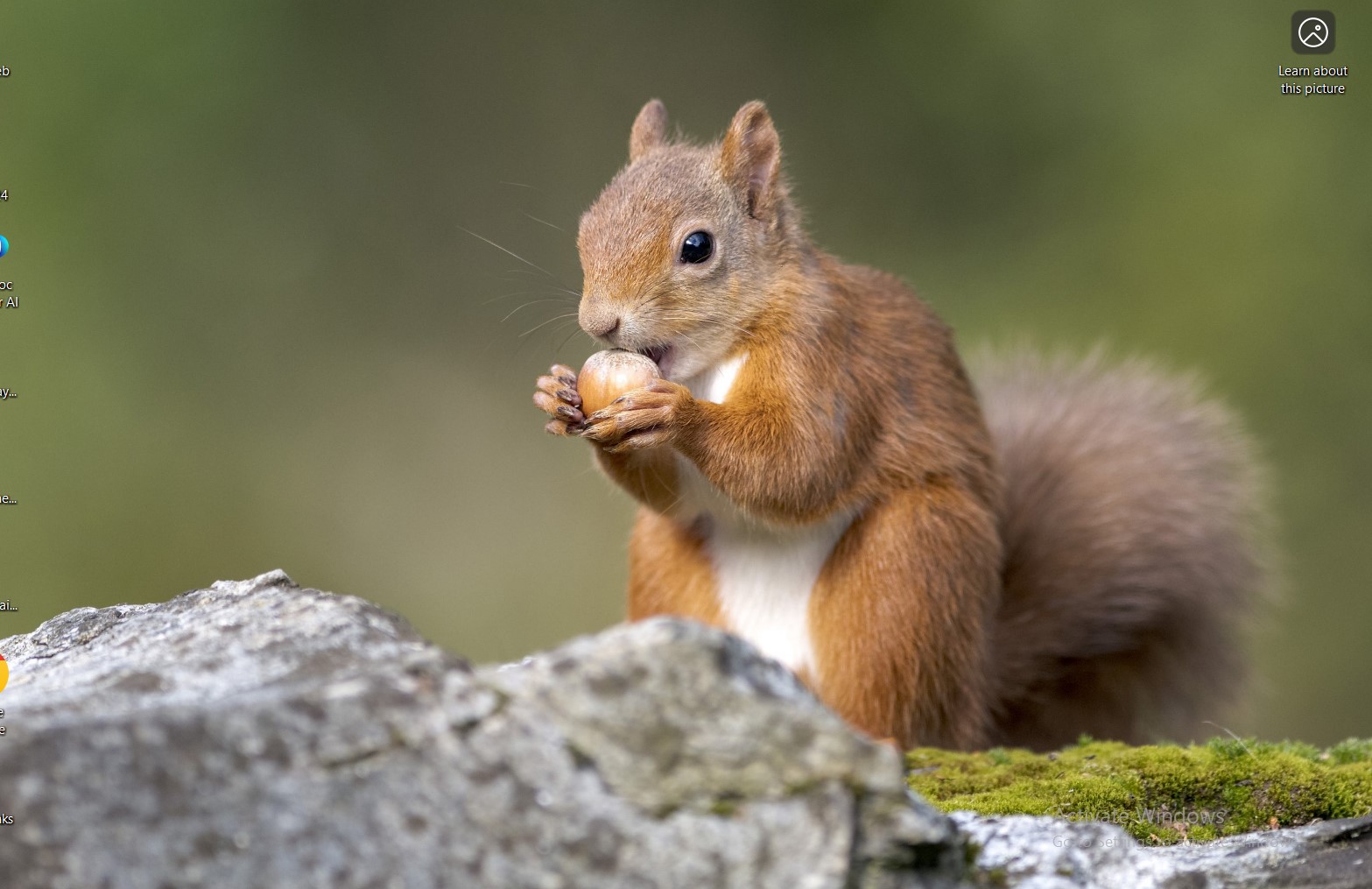 animal-eats-walnut-sip – despardes.com | Home & Abroad