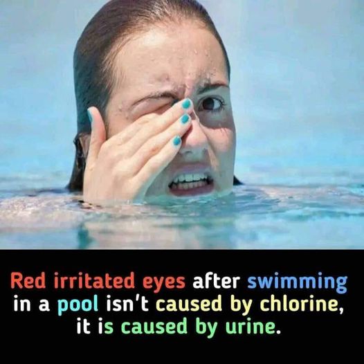 red-eyes-swimming-urine-sip – despardes.com | Home & Abroad
